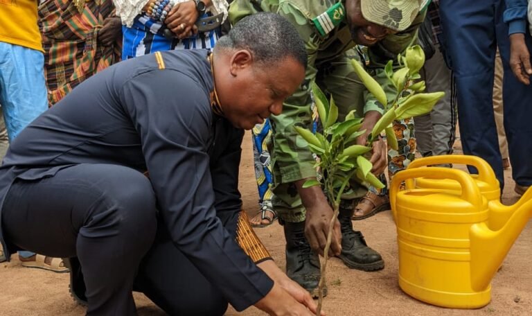 Moyen mono / 1er Juin : Journée de l’arbre, les députés SEMODJI Djossou ...